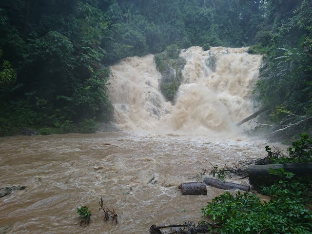 PEMBALAKAN PUNCA KEMUSNAHAN AIR TERJUN LATA MERAUNG JERANTUT | AKU ANAK ...