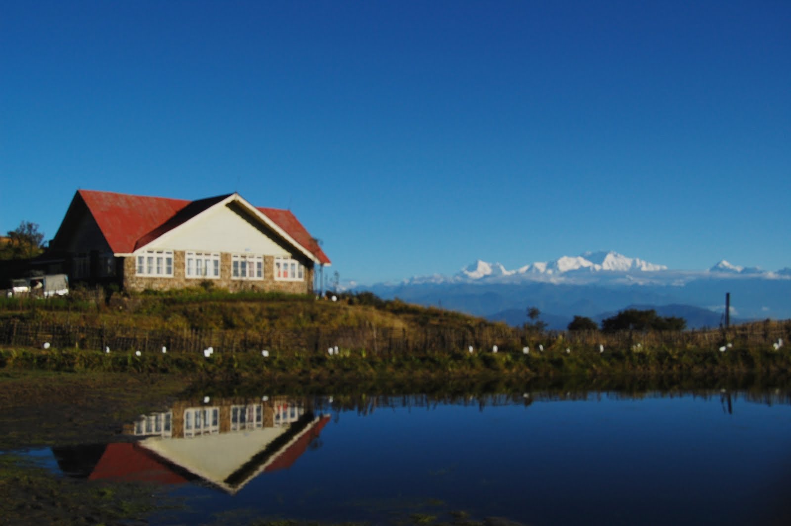 The Fifth Angle: Sandakphu Trekking