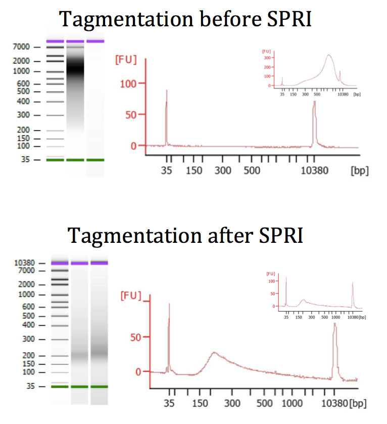 Nextera failures fixed by SPRI-cleanup - Enseqlopedia