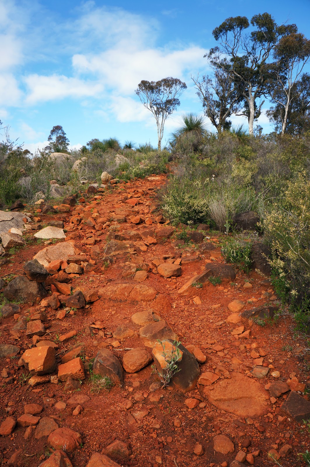 Eagle View Walk Trail (John Forrest National Park) ~ The Long Way's Better