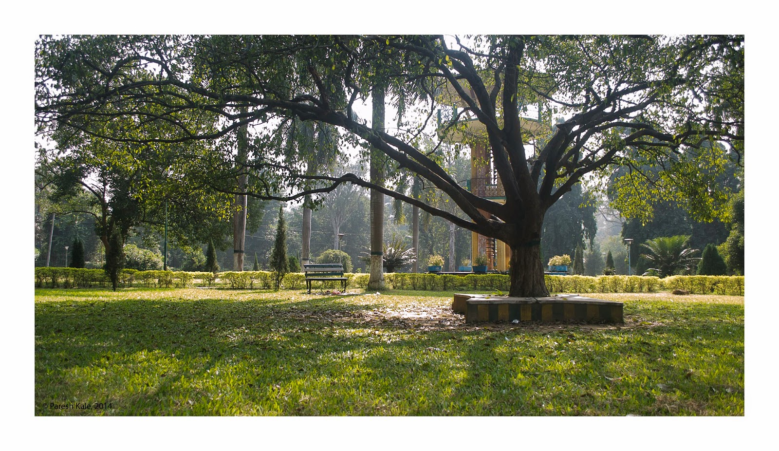 रुबाई - Rubaai: Wandering Destination: Indira Gandhi Park, Rourkela