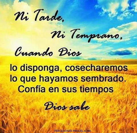 Imágenes Cristianas - Banco de Imagenes: LOS TIEMPOS DE DIOS SON ...