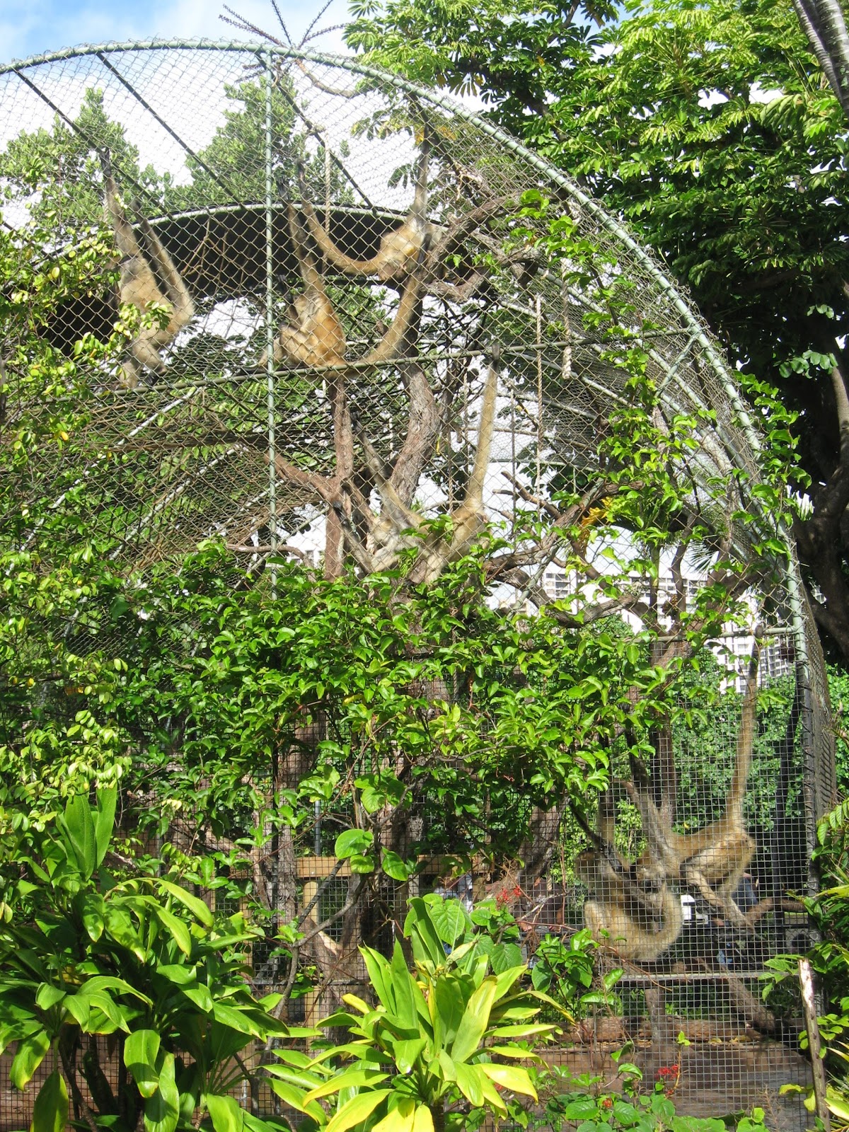 Jax Stumpes: Hawai'i - Honolulu Zoo (12/23-24/2011)