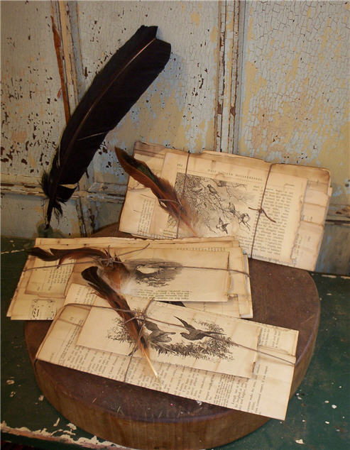 True Book Addict...Books, Cats, and More: Book Tour: Guest Post--Author ...