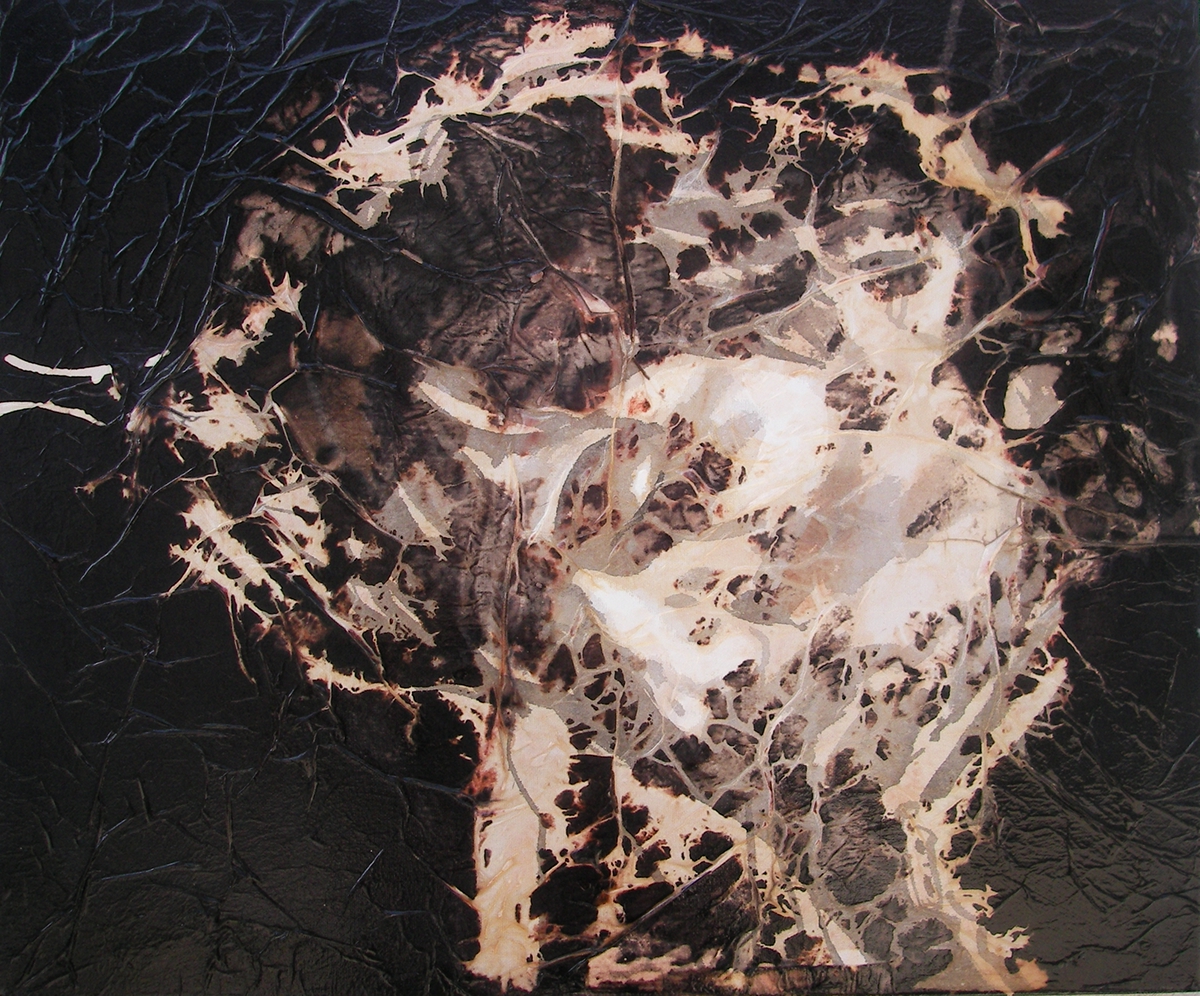 VIVENCIAS PLÁSTICAS: PAULA RITO / REENCARNACIONES