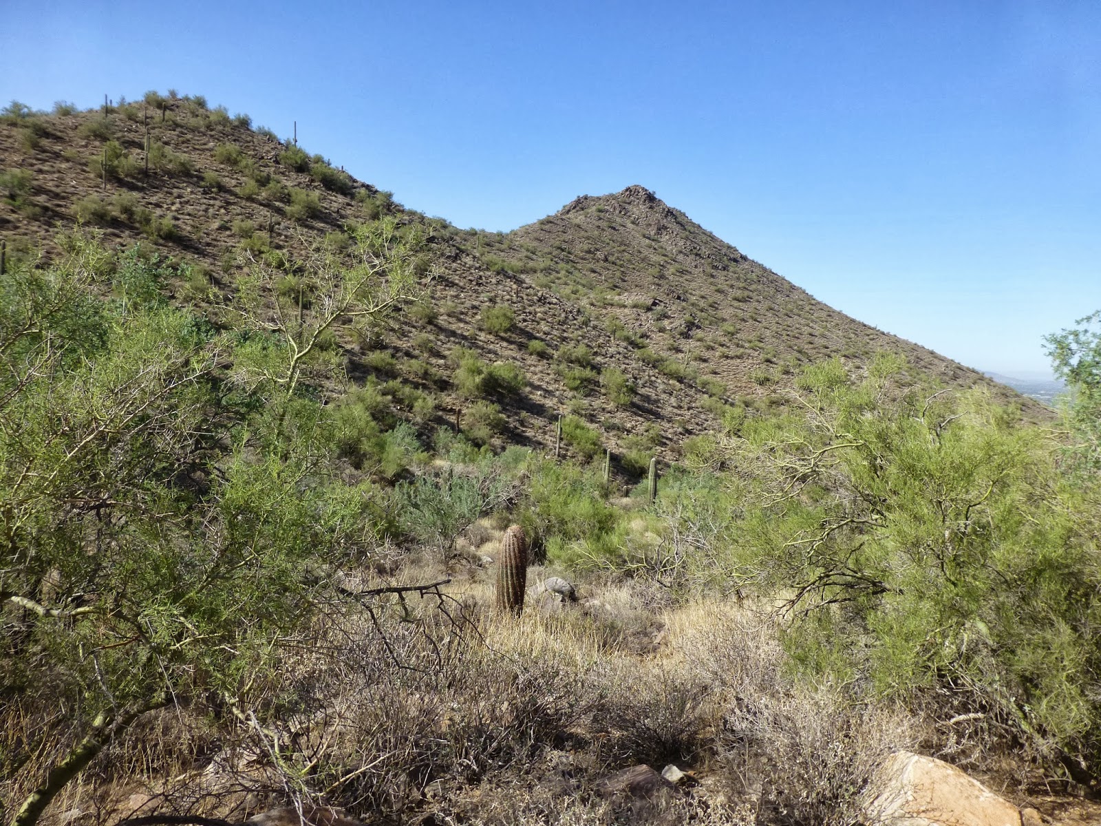 Hundewanderer.com: Hiking: McDowell Sonoran Preserve, Gateway Loop Trail