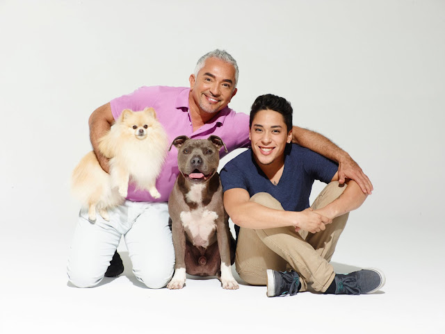 En mayo Nat Geo Wild estrena la nueva serie: “Días de perro con César ... En mayo Nat Geo Wild estrena la nueva serie: “Días de perro con César ...