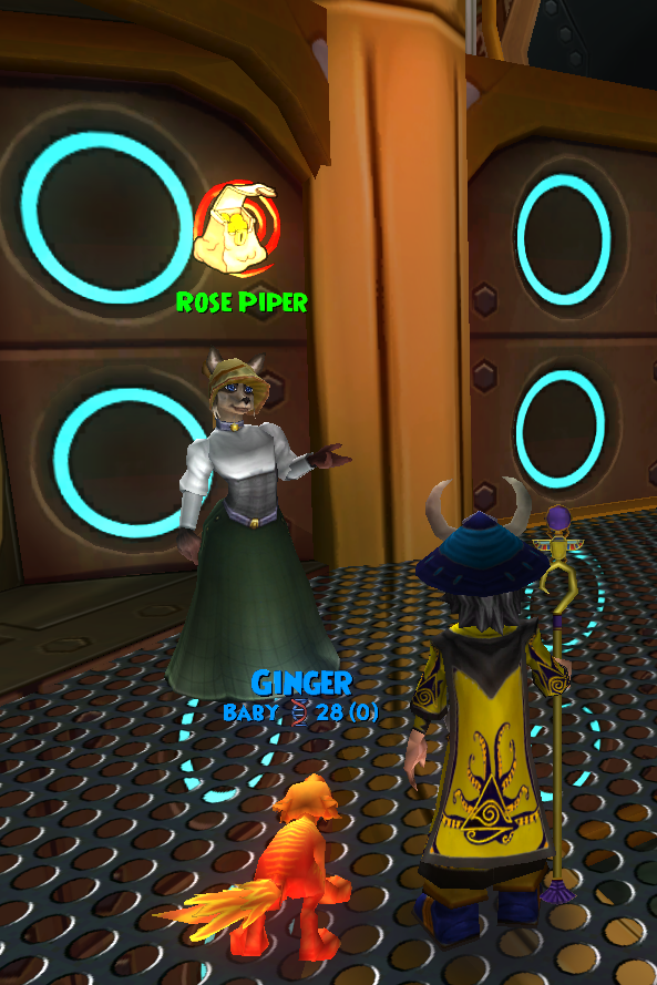 Inventory Full: Professor Who? : Wizard 101