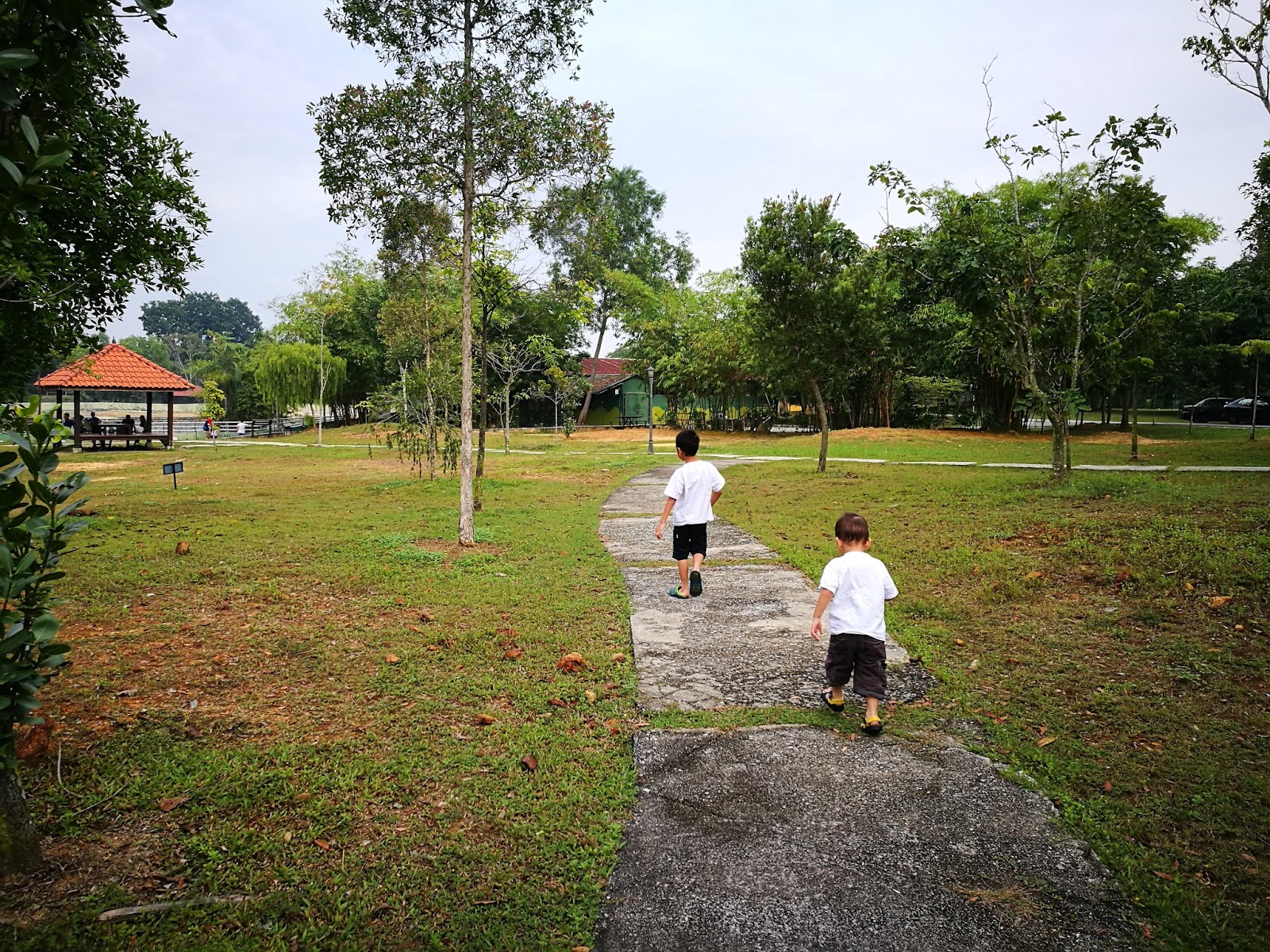 Paya Indah Wetlands Dengkil Kuala Langat