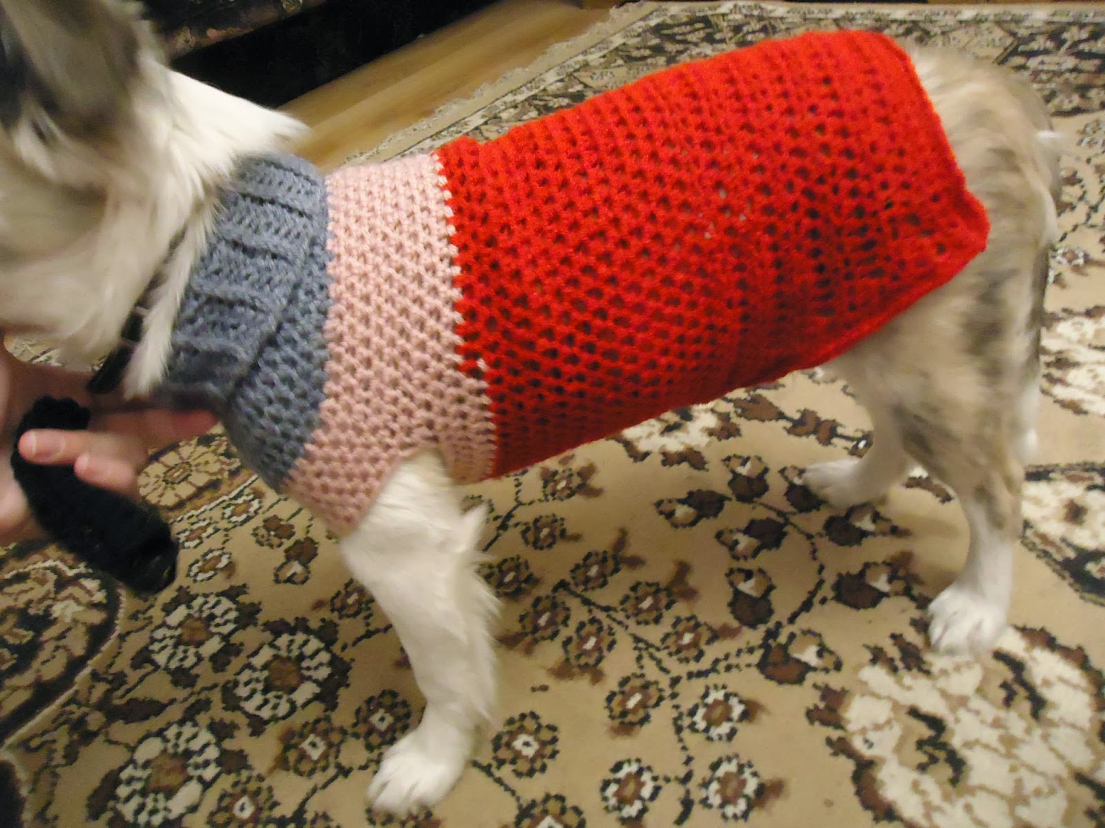 Welcome to my world: Pulovere crosetate pentru catei 1