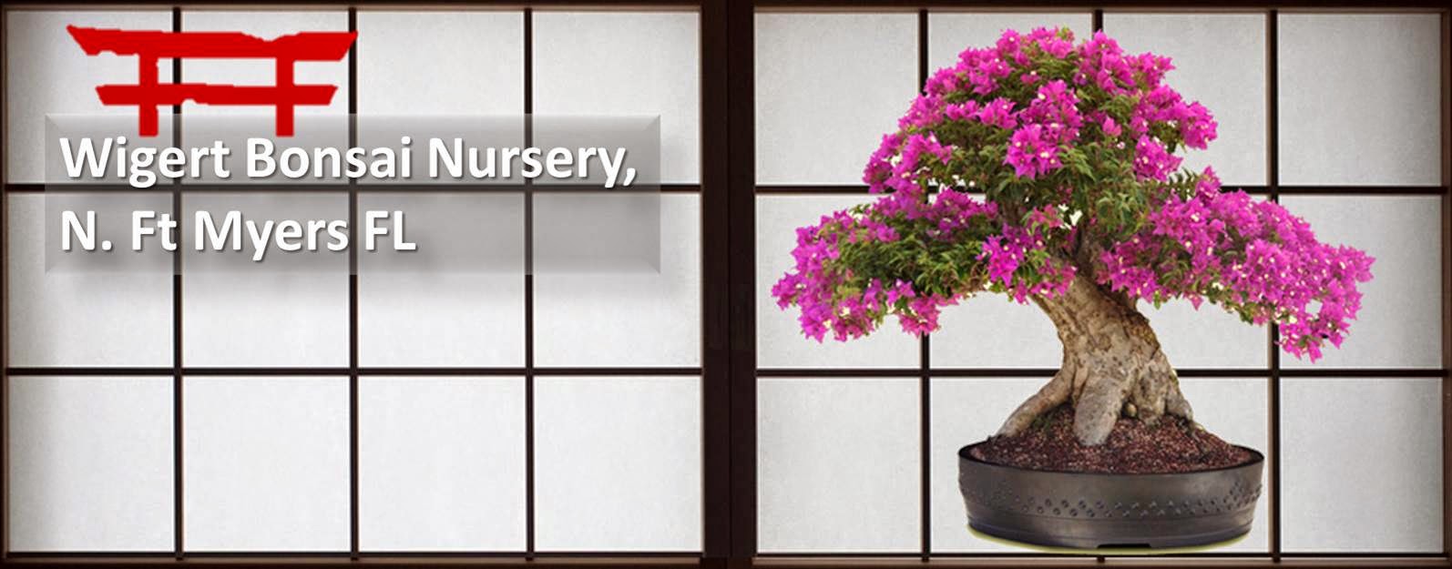 The Garden Tutor: Wigert Bonsai Nursery in N. Ft Myers Floriday ...