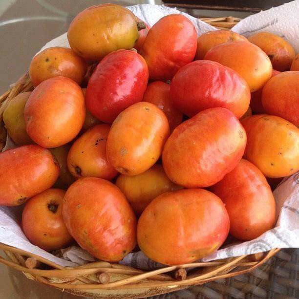 A Seriguela é uma excelente Fonte de Vitamina A