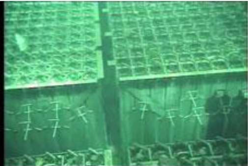 The Neutron Economy: May 2012