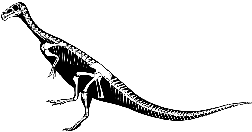 Waxing Paleontological: Chilesaurus and Avian Arm Folding