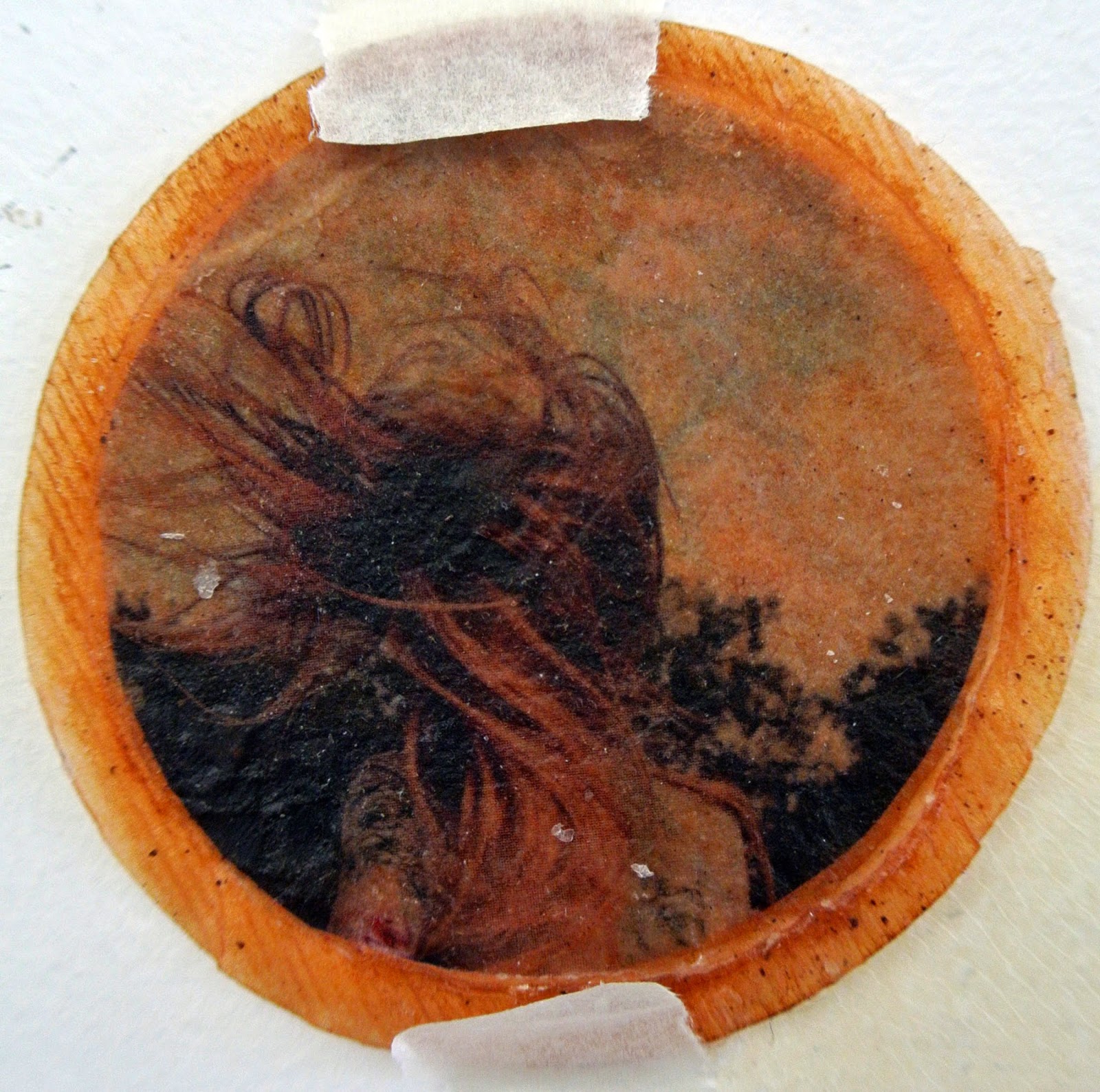 This Is All Art: Tea Bags - Wax 2