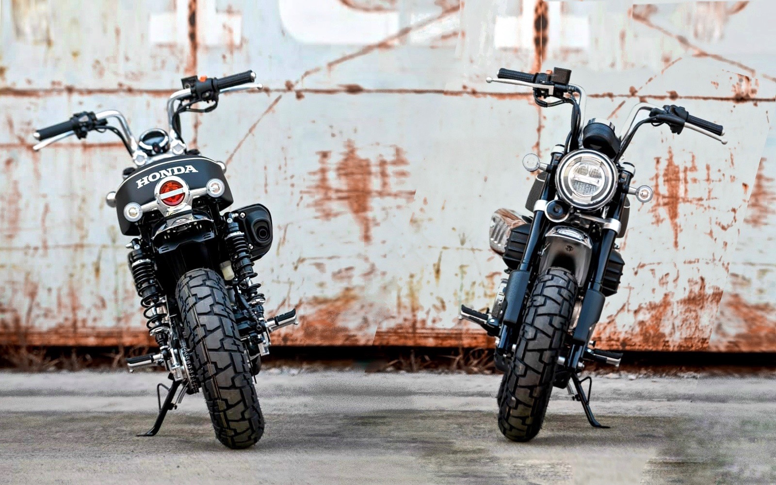 K-Monkey - Inazuma café racer