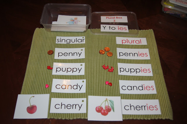 Plural Noun Object Boxes, Montessori Language & Grammar At Home ...