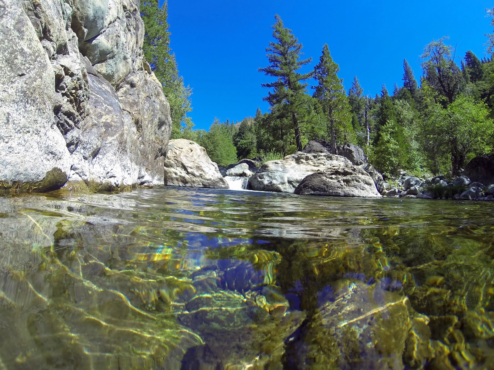 Jon Baiocchi Fly Fishing News: North Fork Yuba River Fly Fishing Report ...
