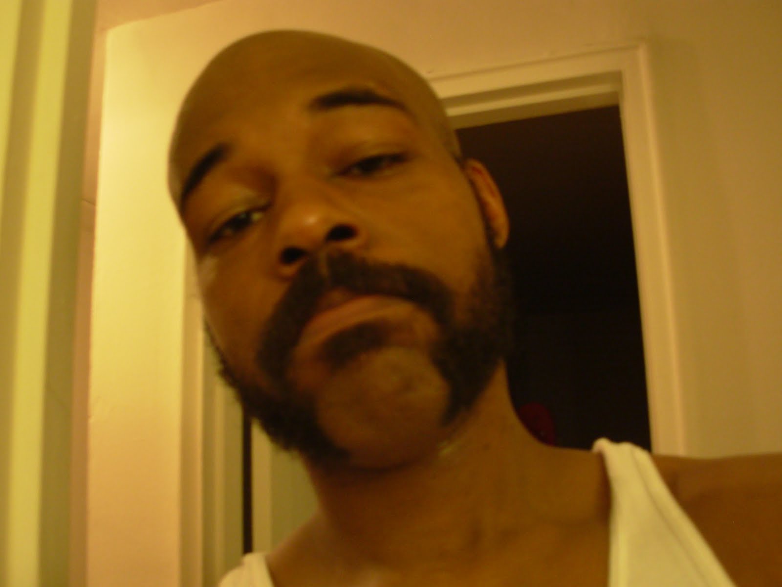 I Want the Brain of Rich B. Knight NEEOOW!: It Has Begun! Operation ...