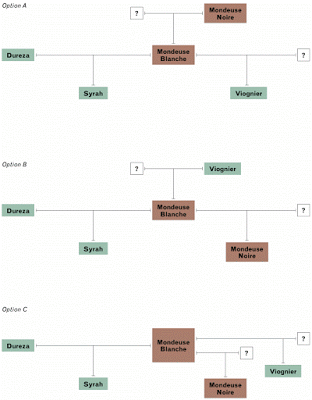 The Wine Gourd: The genealogy of grape varieties