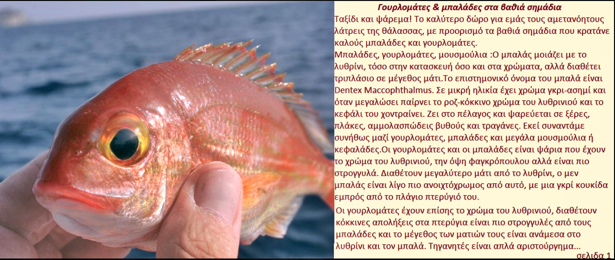ΨΑΡΕΜΑ ΣΤΑ ΒΑΘΙΑ ΓΙΑ ΜΠΑΛΑΔΕΣ