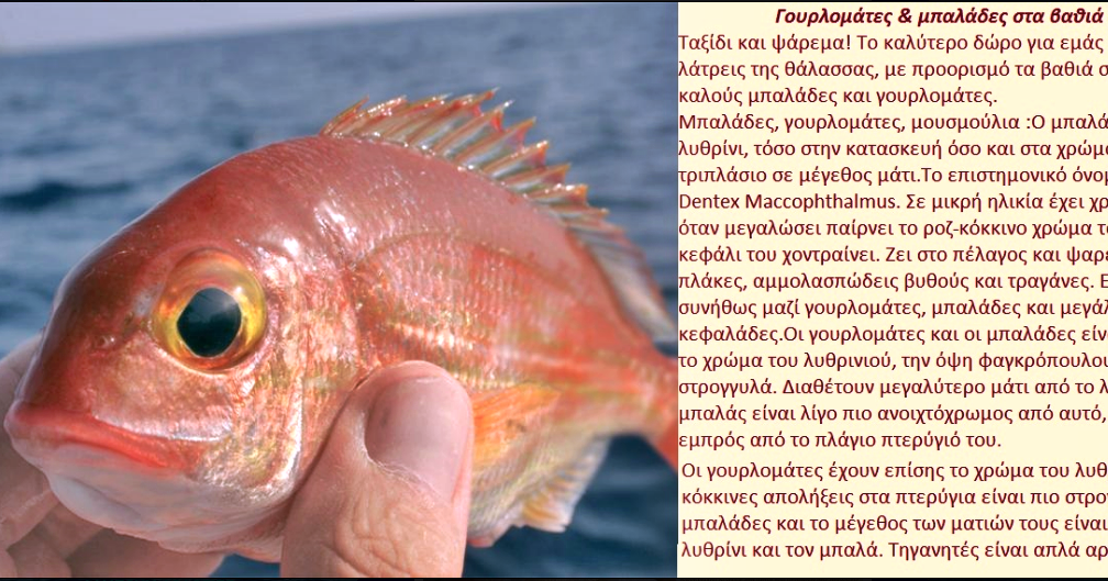 ΨΑΡΕΜΑ=ΠΑΘΟΣ