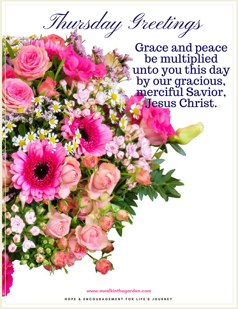 A Walk In The Garden: Thursday Greetings