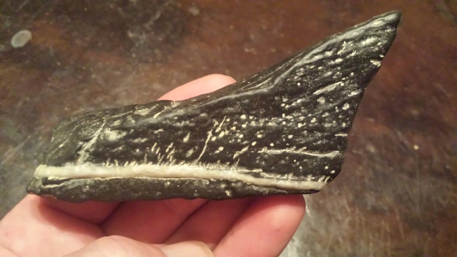 Archaeology of Portable Rock Art: 'Flying foot' imagery from Arkfeld ...