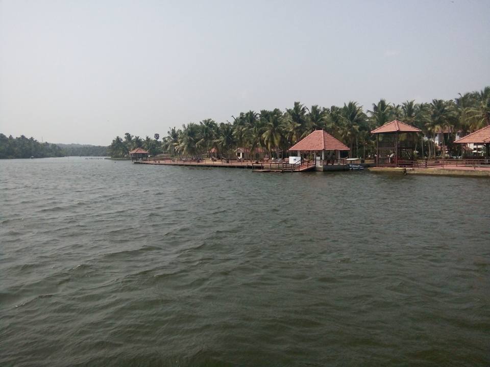 The Visual Delight of Thiruvananthapuram Poovar - avalshe98