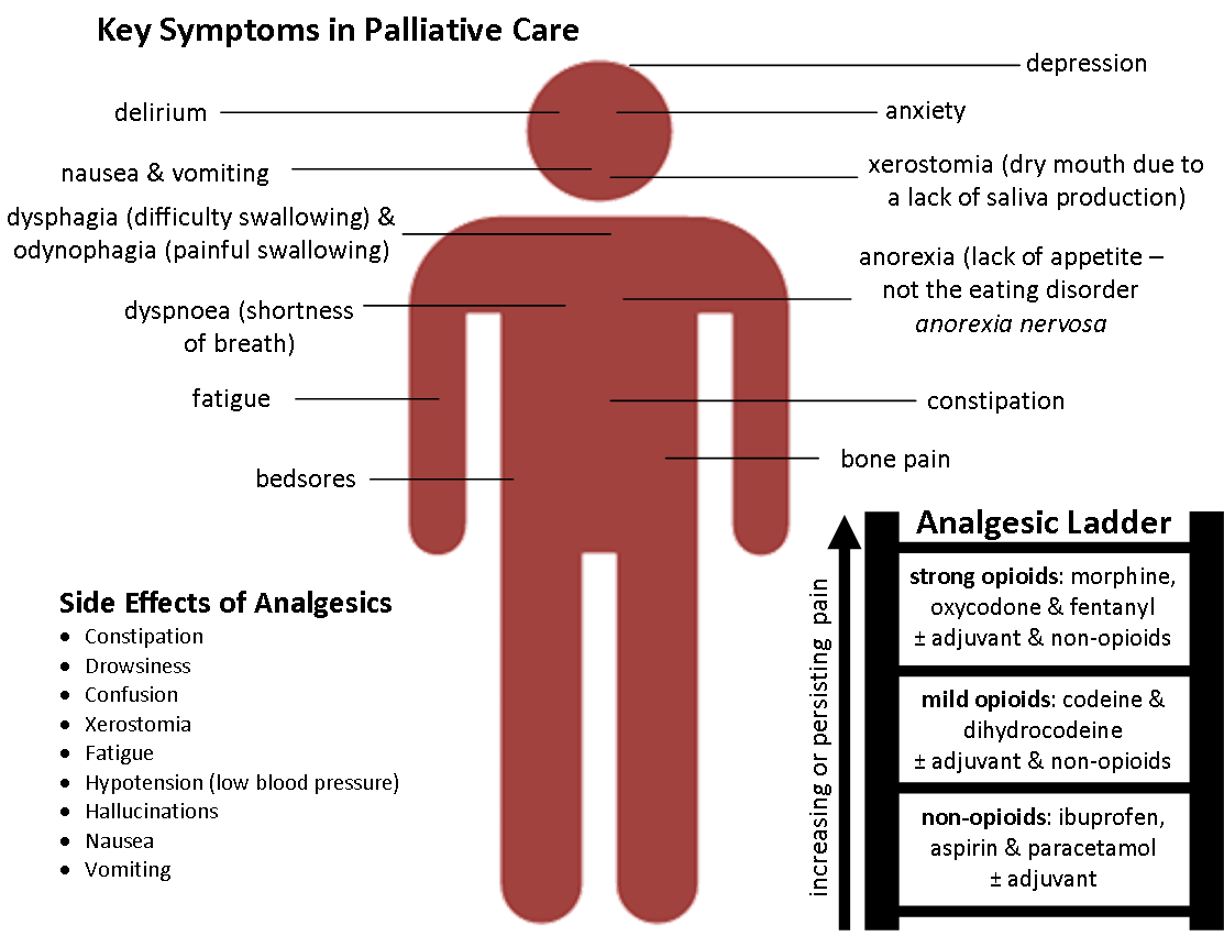 1000+ images about Palliative care is what I do. on Pinterest | Hospice ...