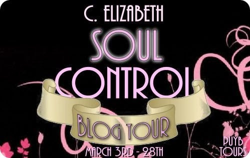 Book Spotlight: Soul Control by C. Elizabeth | ~ Bookingly Yours