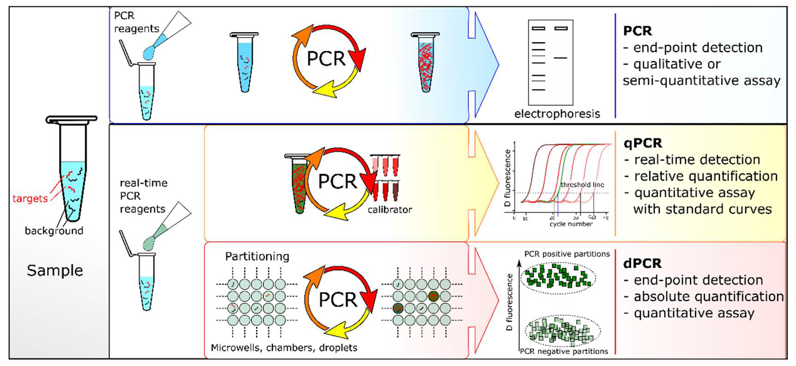 Noticias Genética Médica & more: PCR digital (dPCR) como técnica de ...