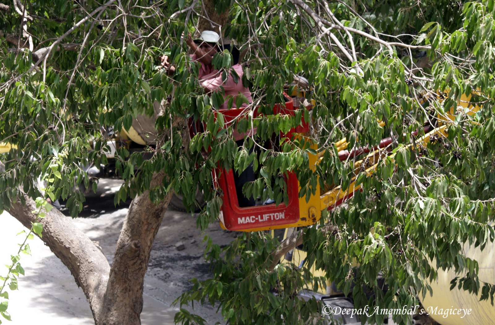 Mumbai Daily: June 2012