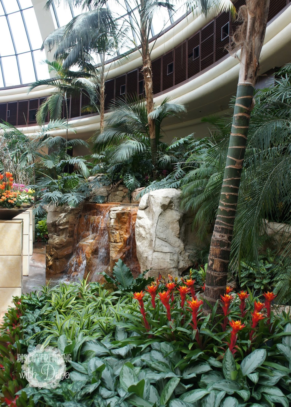 Discovereighng with Dana: Around the World in One Day