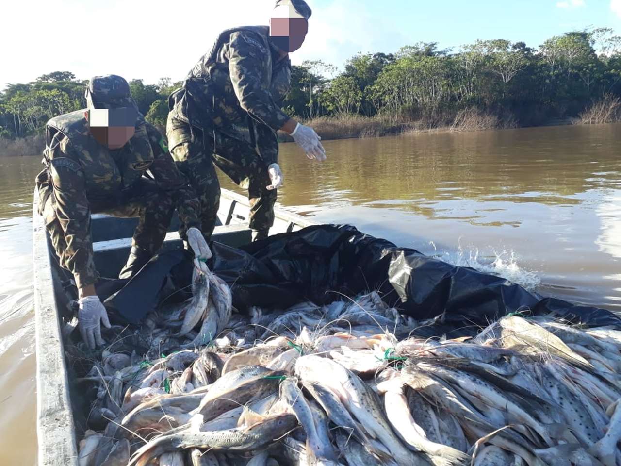 Apreensão de 1,5 Toneladas de "Piracatinga" e Quelônios na calha do Rio ...
