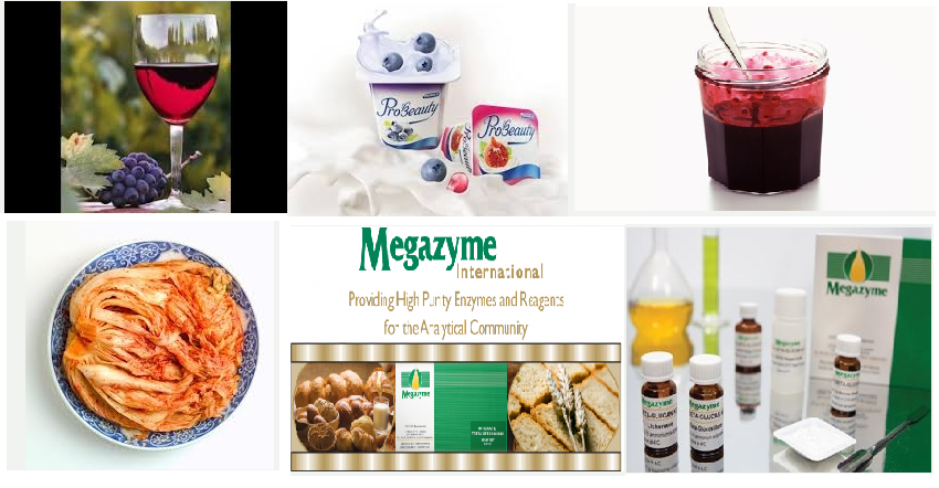 TEST KITS TRONG CÔNG NGHỆ LÊN MEN | MEGAZYME-IRELAND - THIẾT BỊ PHÒNG LAB