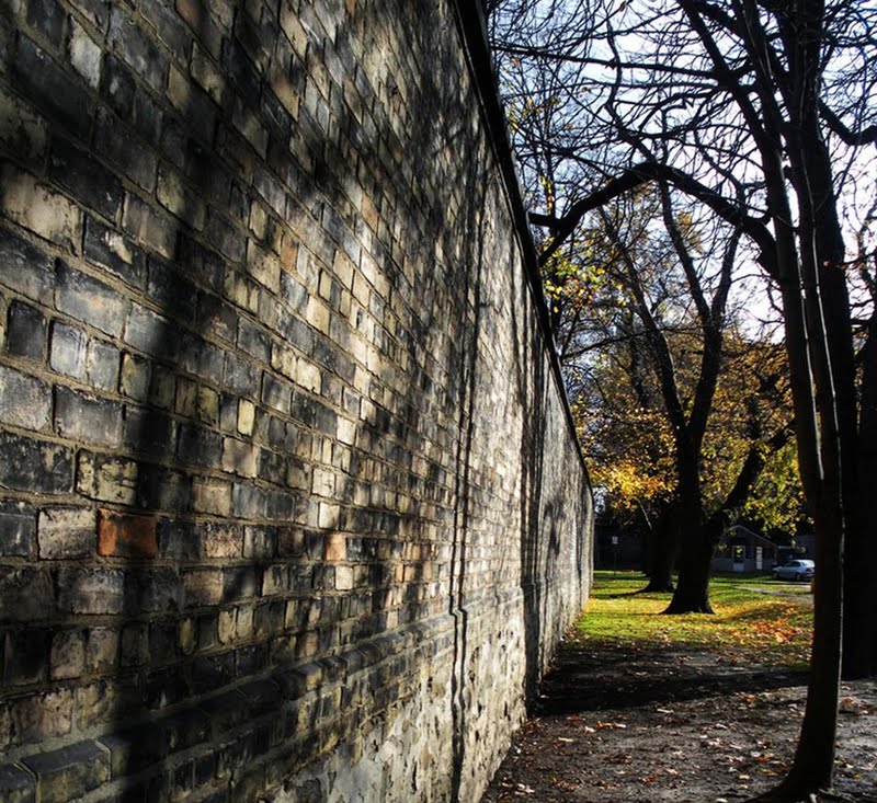 Random Thoughts: The Walls