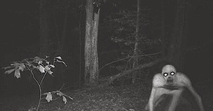 The Rake "El Rastrillo" - Ntc del Mundo