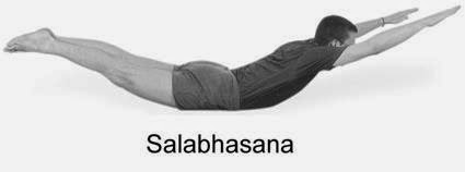 Legacy of Wisdom: THE JOY OF YOGA - Yoga sequences in Indian Culture