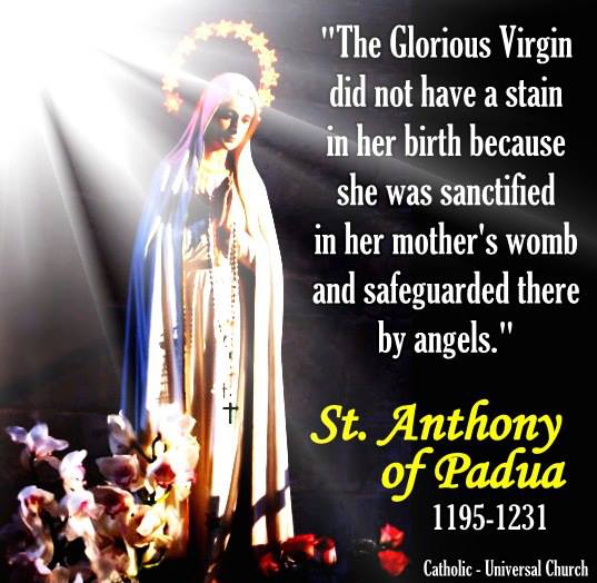 Little Plant of St. Francis: St. Anthony of Padua Quote