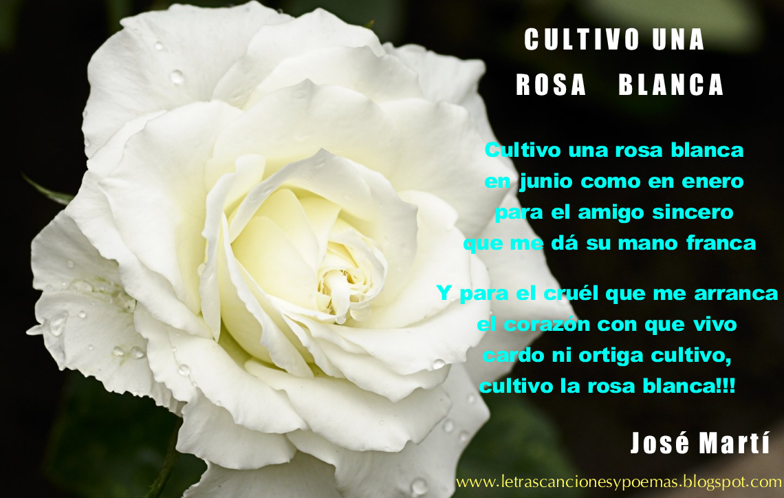 LETRAS, CANCIONES Y POEMAS: CULTIVO UNA ROSA BLANCA, (José Martí)