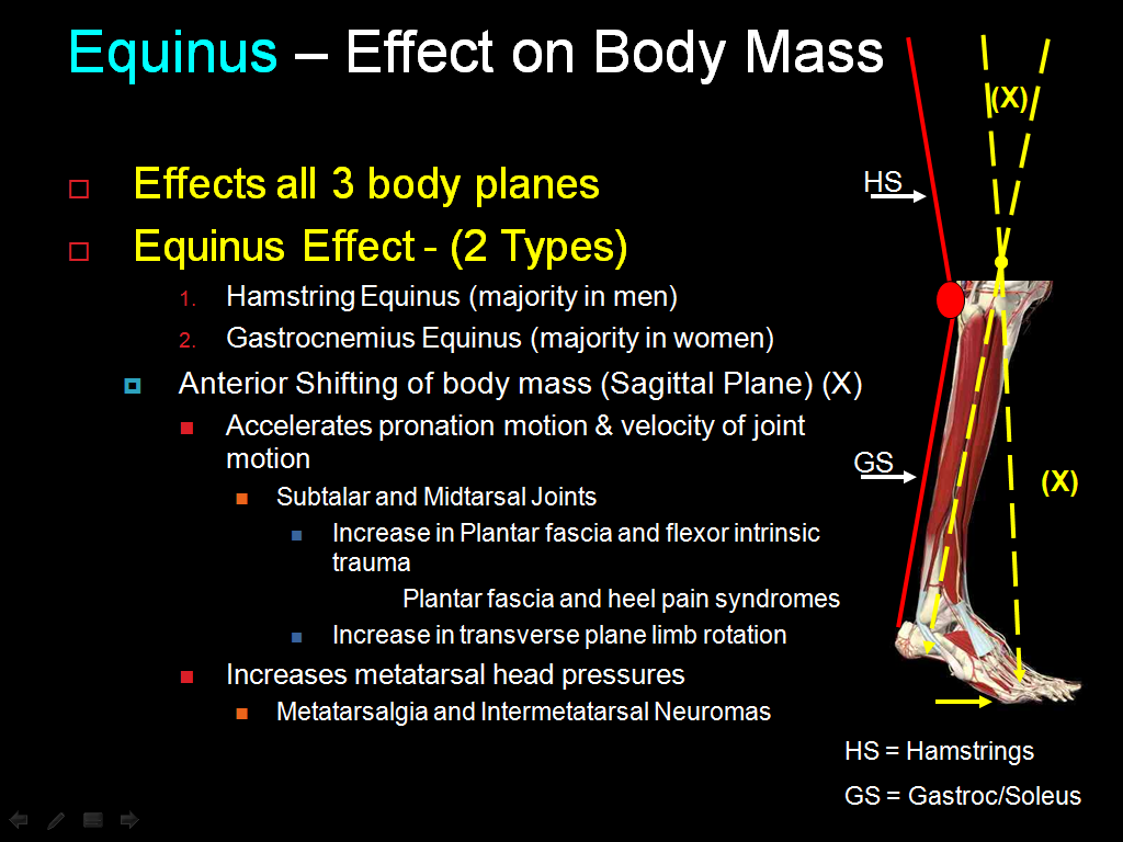 Static and Functional Biomechanical Diseases