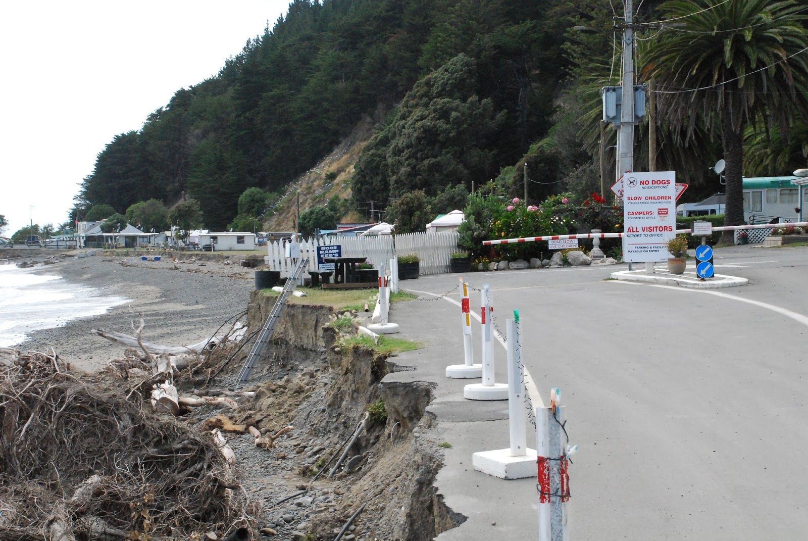 Kiwi Adventures Blog: Napier and Te Awanga, Hawkes Bay, New Zealand