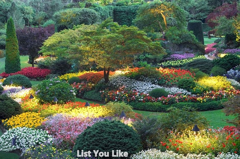 Nature Scenery: Beautiful Garden Pictures Of The World