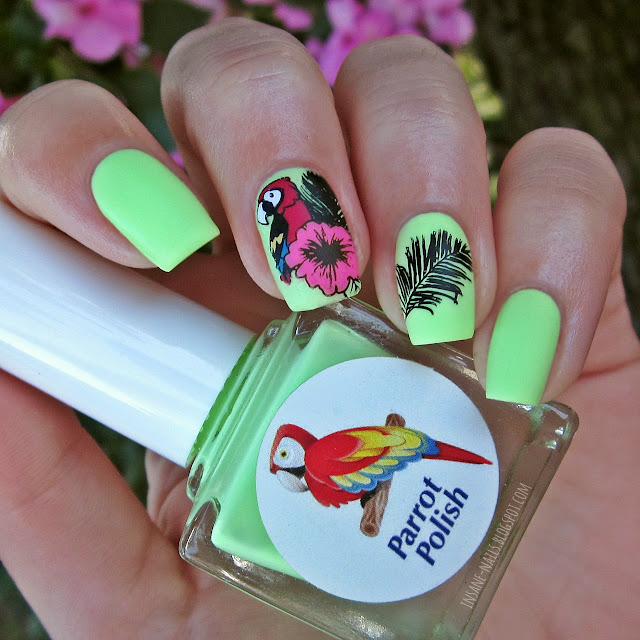 Parrot nails | HK-06 - insane4nails