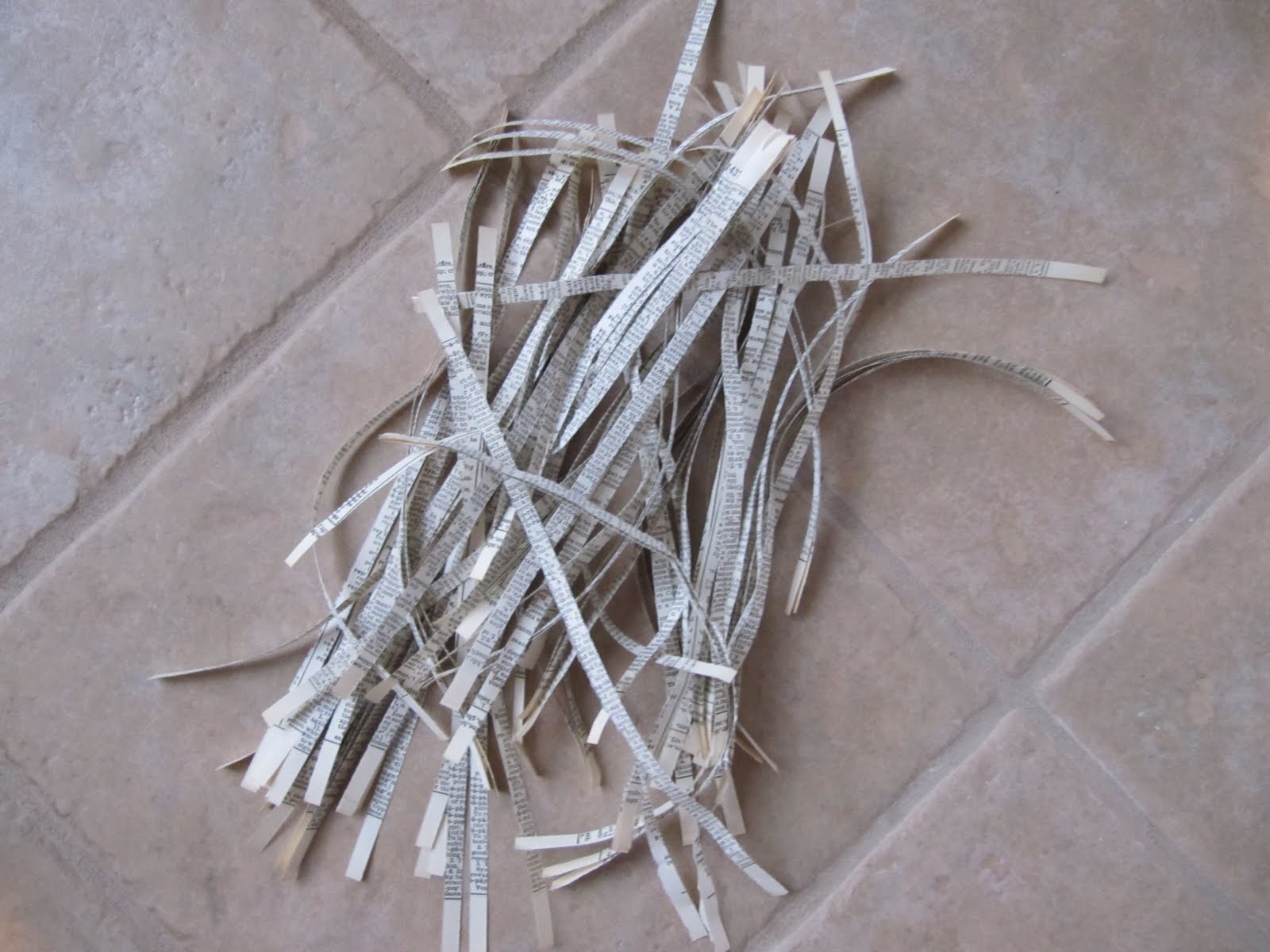 Sew Many Ways...: Paper Shredder Ideas...Easter Grass and Other ...