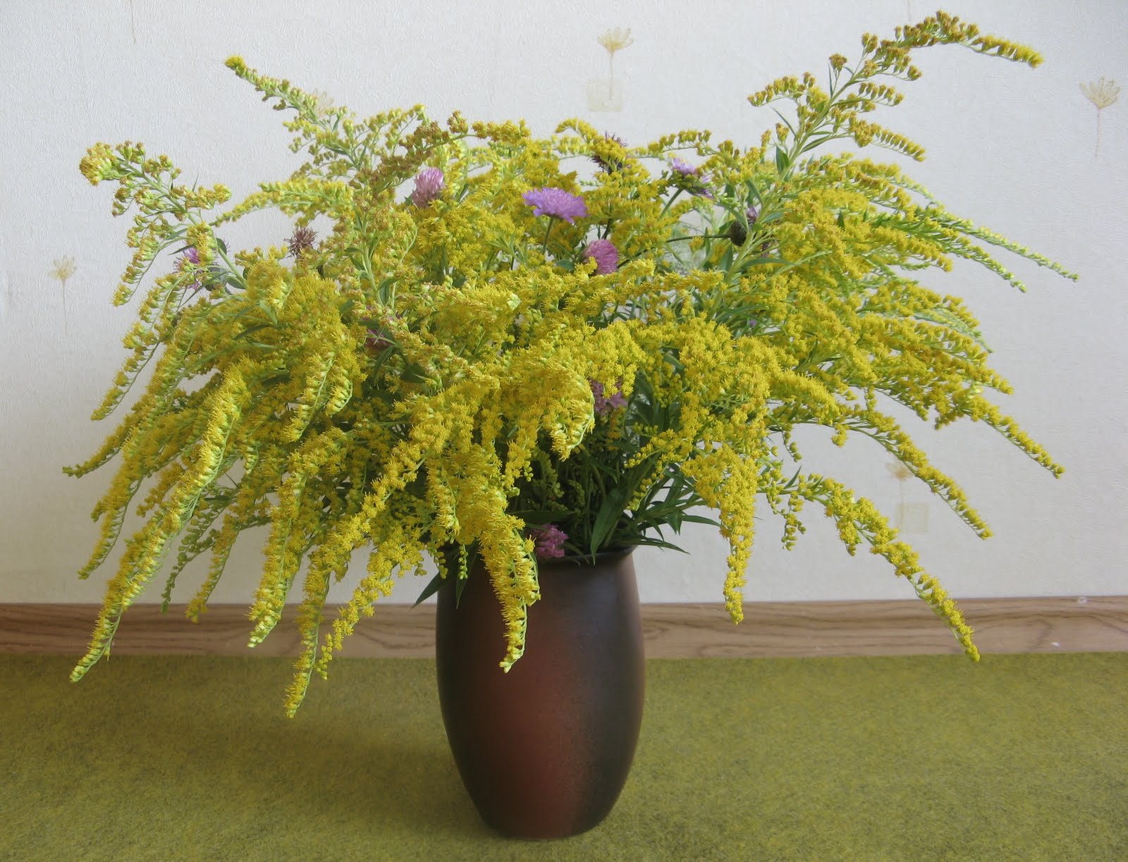 Mano buveinė: Pieva kvepiantys namai