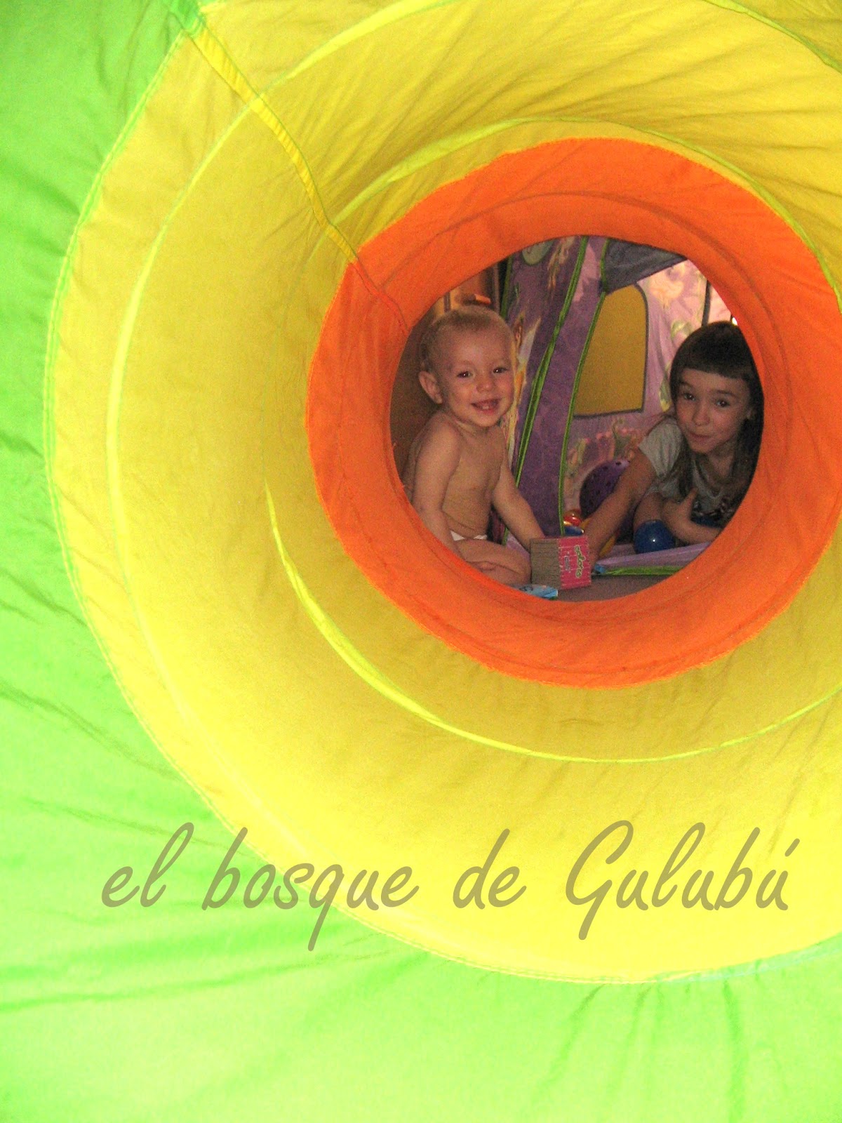 EL Bosque de Gulubú: El bosque de Gulubú en verano