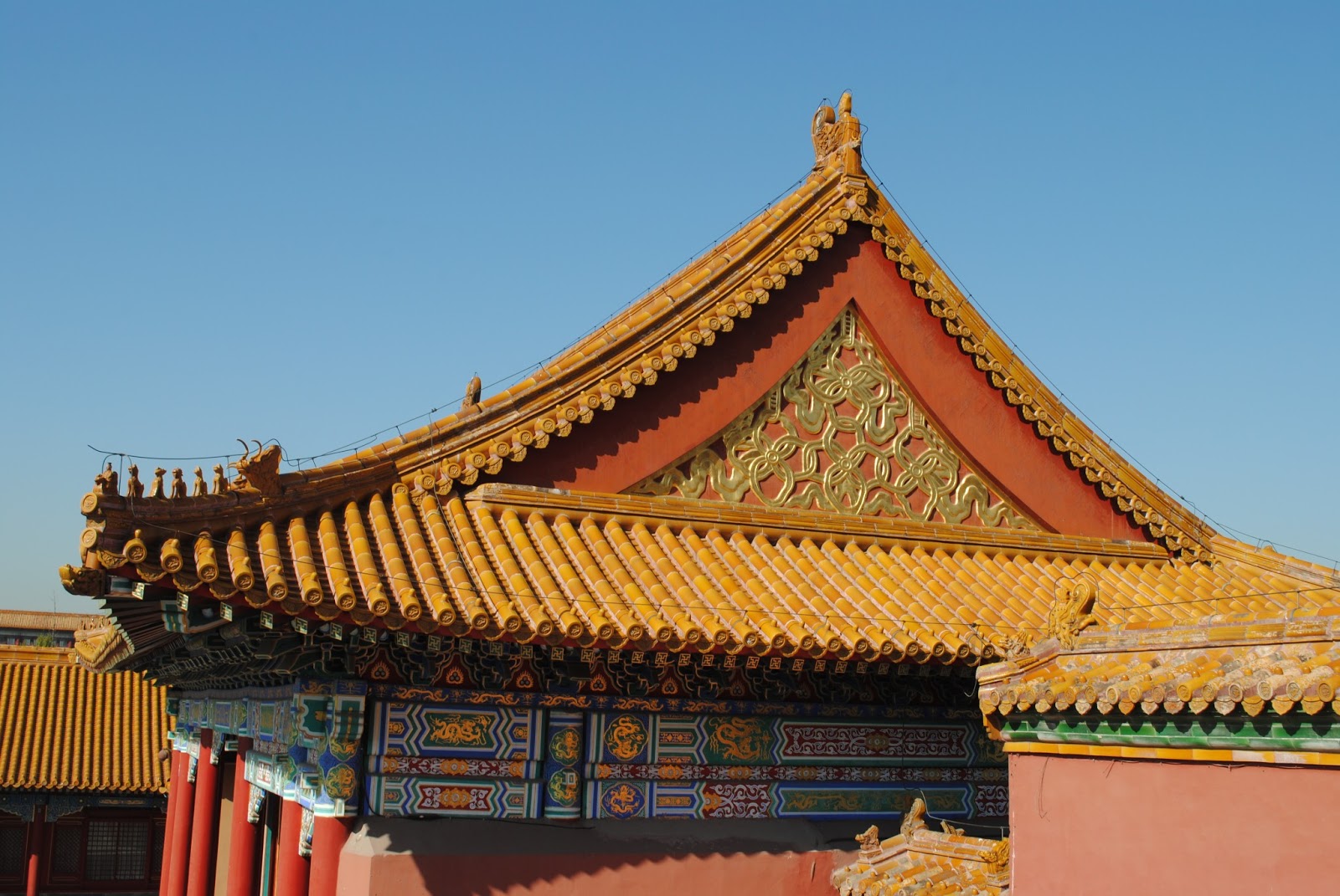 The Multicoloured Sunglasses