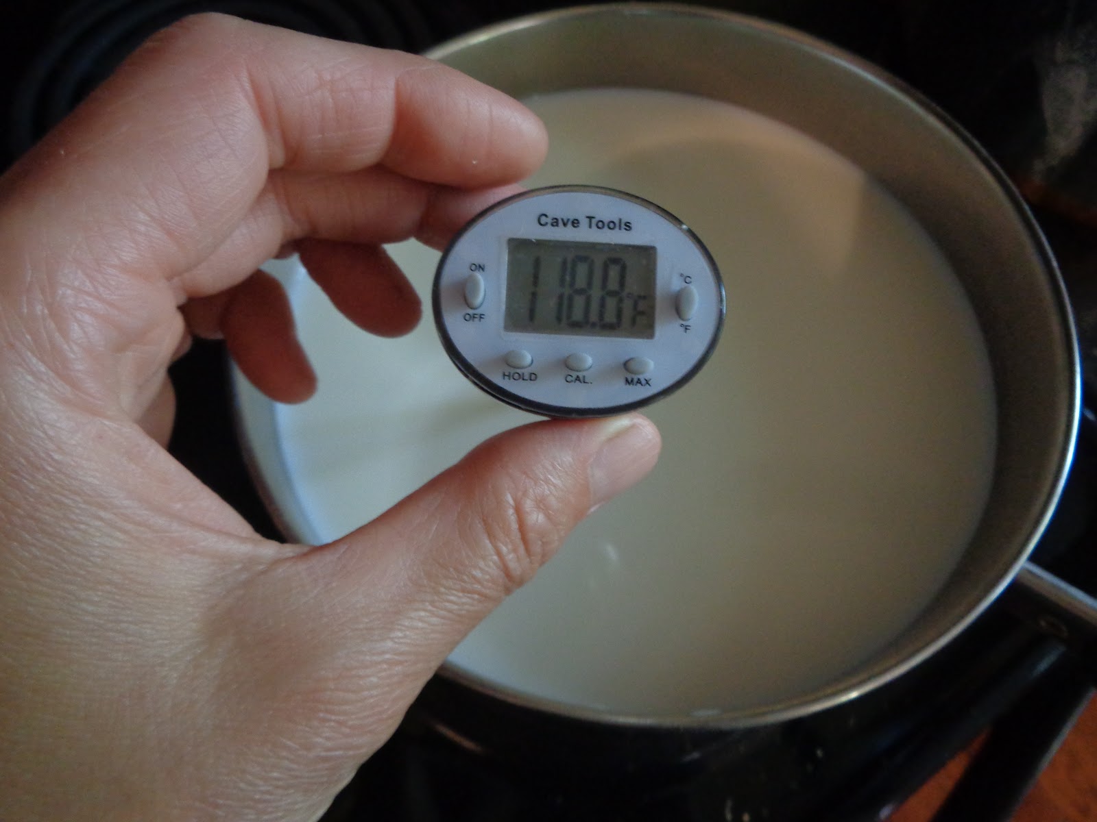 Proverbs 31 Living: Making Cheese With a New Thermometer